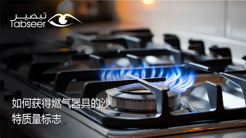 如何获得燃气器具的沙特质量标志 | TABSEER